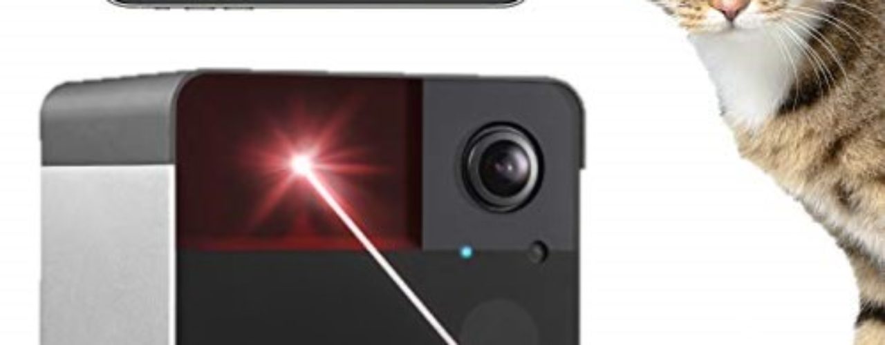 Cats, photos, videos, advice, product reviews — Pussycat Friends